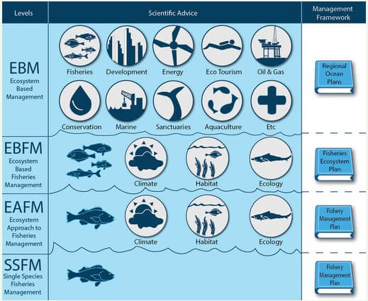 NJDEP| Fish & Wildlife | Flipping the Switch on Ecosystem Management