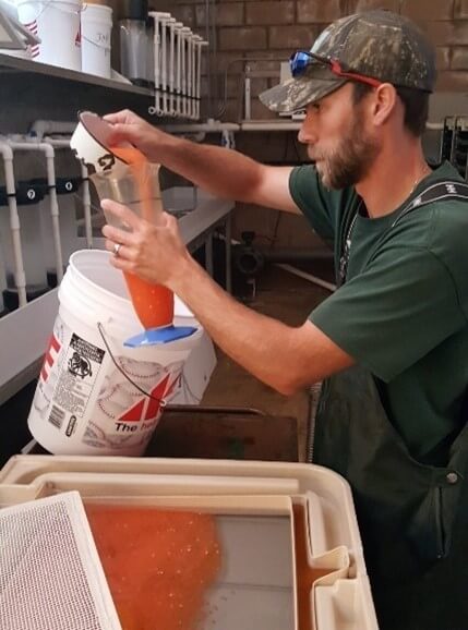 NJDEP| Fish & Wildlife | Pequest Hatchery Operations