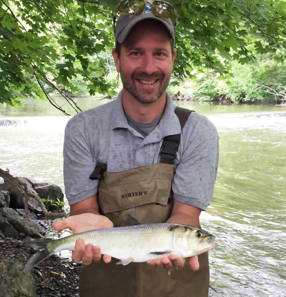 NJDEP| Fish & Wildlife | American Shad Officially Documented Upstream ...