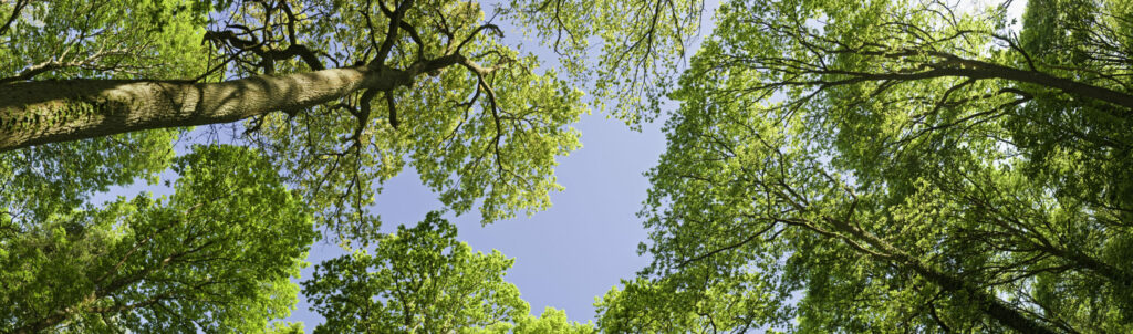 NJDEP| Air Quality | Division of Air Quality