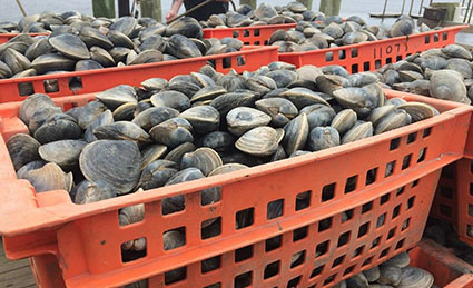 NJDEP| Aquaculture | Home