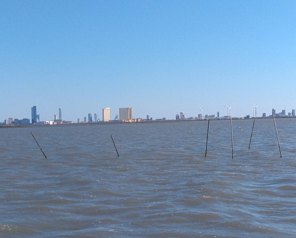 NJDEP| Aquaculture | Shellfish Aquaculture in New Jersey