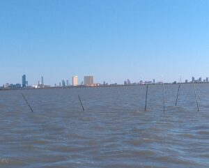 NJDEP| Aquaculture | Shellfish Aquaculture in New Jersey