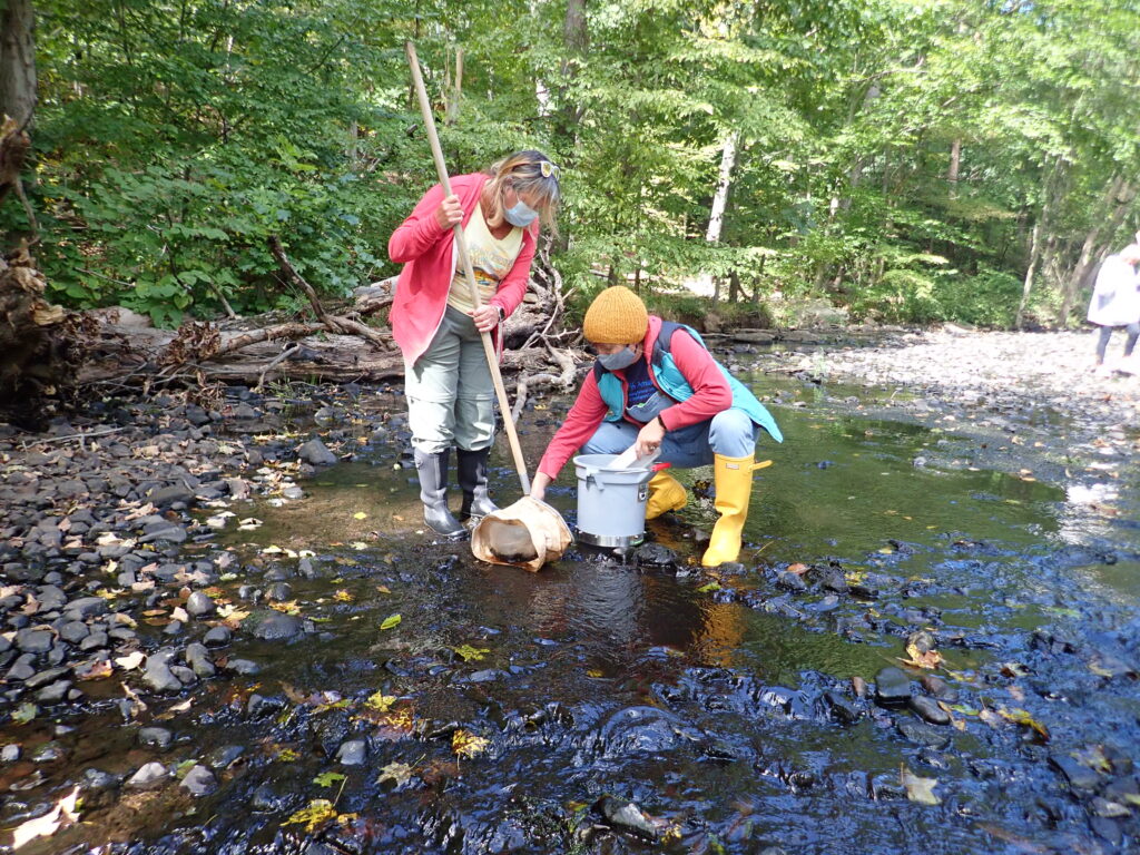 NJDEP| Bureau of Environmental Analysis, Restoration and Standards ...