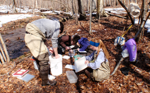 NJDEP| Bureau of Environmental Analysis, Restoration and Standards ...