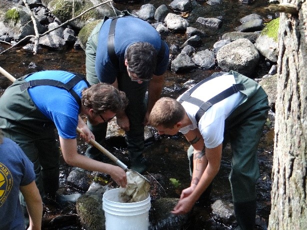 NJDEP| Bureau of Environmental Analysis, Restoration and Standards ...