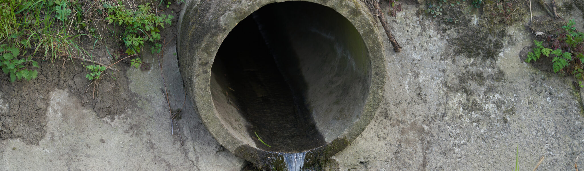 NJDEP| Bureau of Environmental Analysis, Restoration and Standards ...