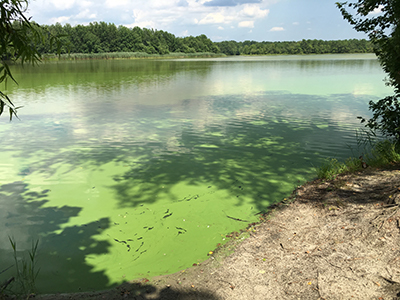 NJDEP| Bureau of Environmental Analysis, Restoration and Standards ...