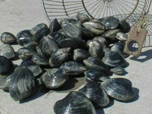 NJDEP| Bureau of Environmental Analysis, Restoration and Standards ...