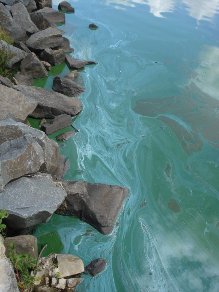 NJDEP| Bureau of Freshwater and Biological Monitoring | CyanoHABs