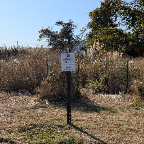 NJDEP| Blue Acres | Local Governments