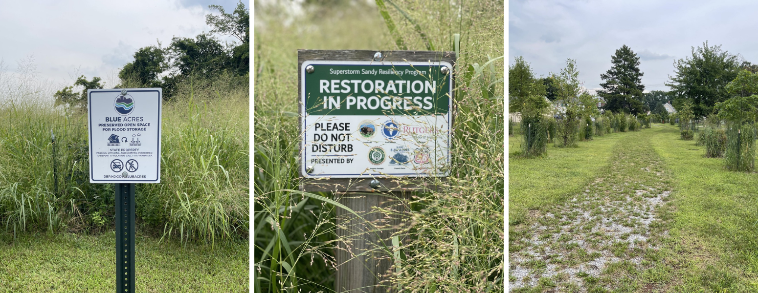 NJDEP| Blue Acres | Restoration Projects on Blue Acres Land