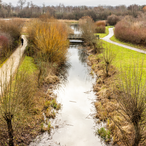 NJDEP| Blue Acres | Floodplain Restoration