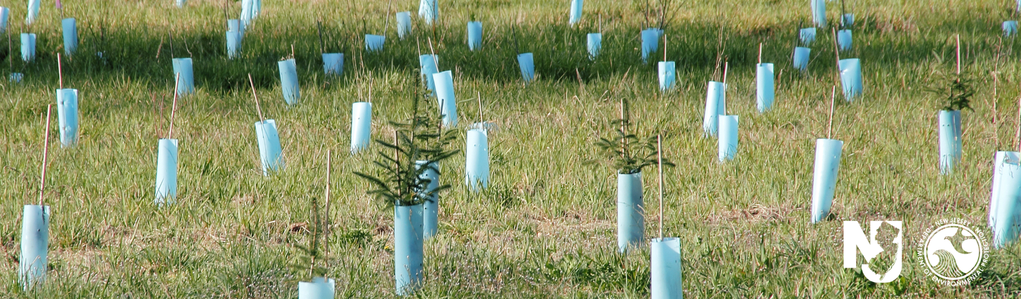 NJDEP| Blue Acres | Floodplain Restoration