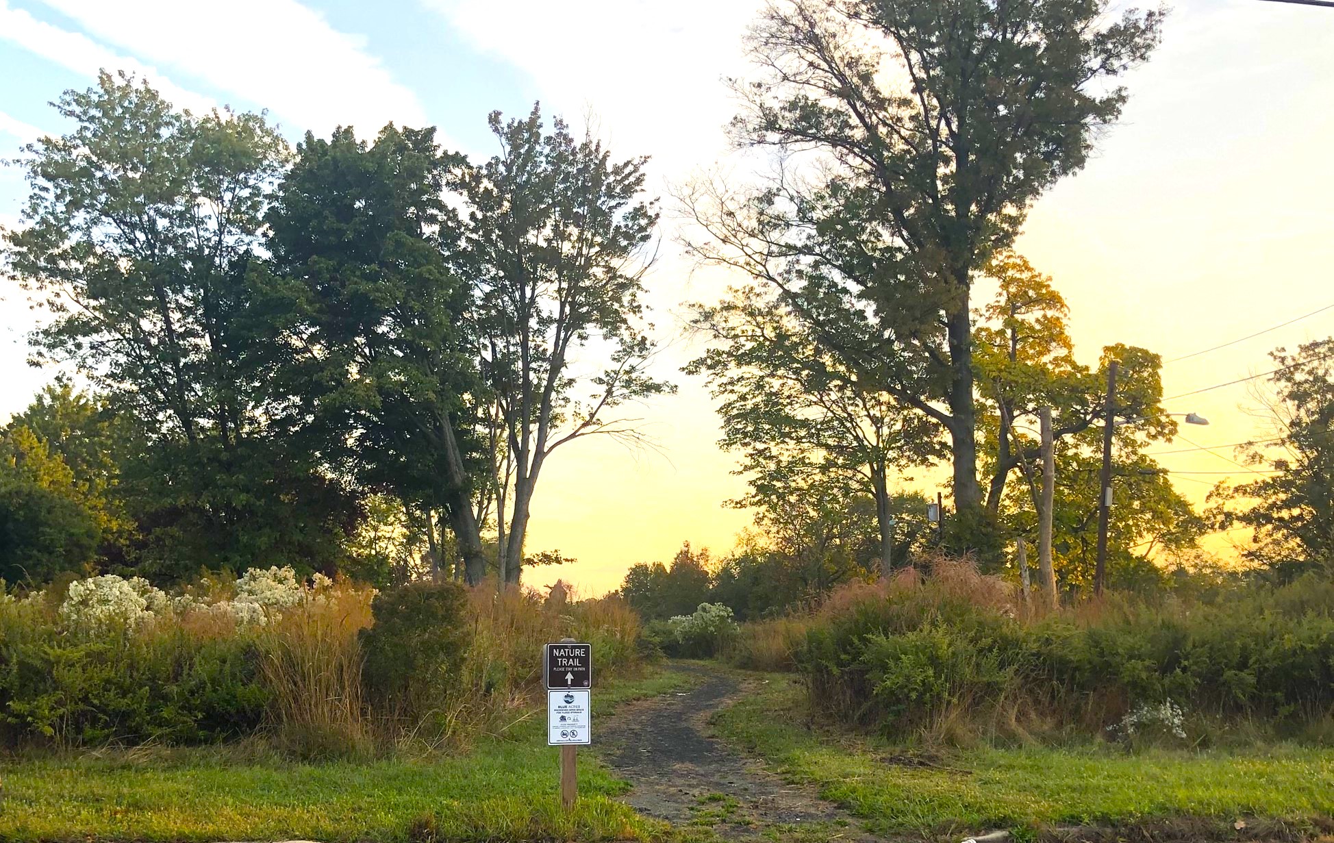 NJDEP| Blue Acres | Local Governments