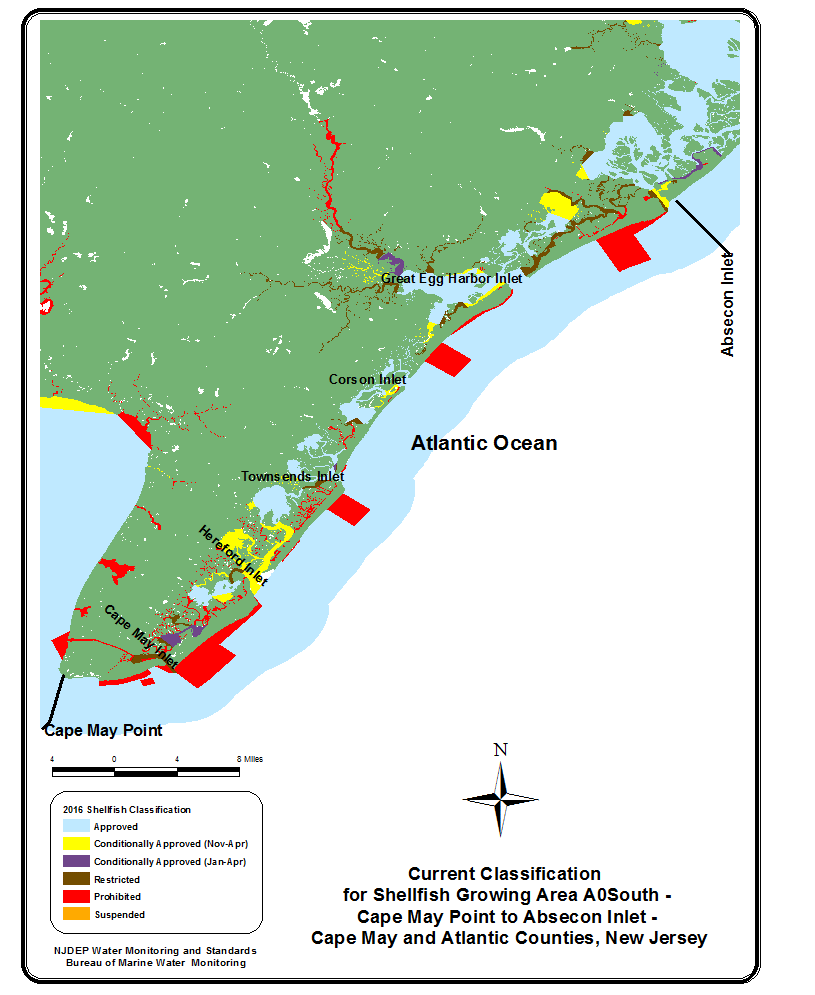 NJDEP| Bureau of Marine Water Monitoring | Atlantic Ocean Reports