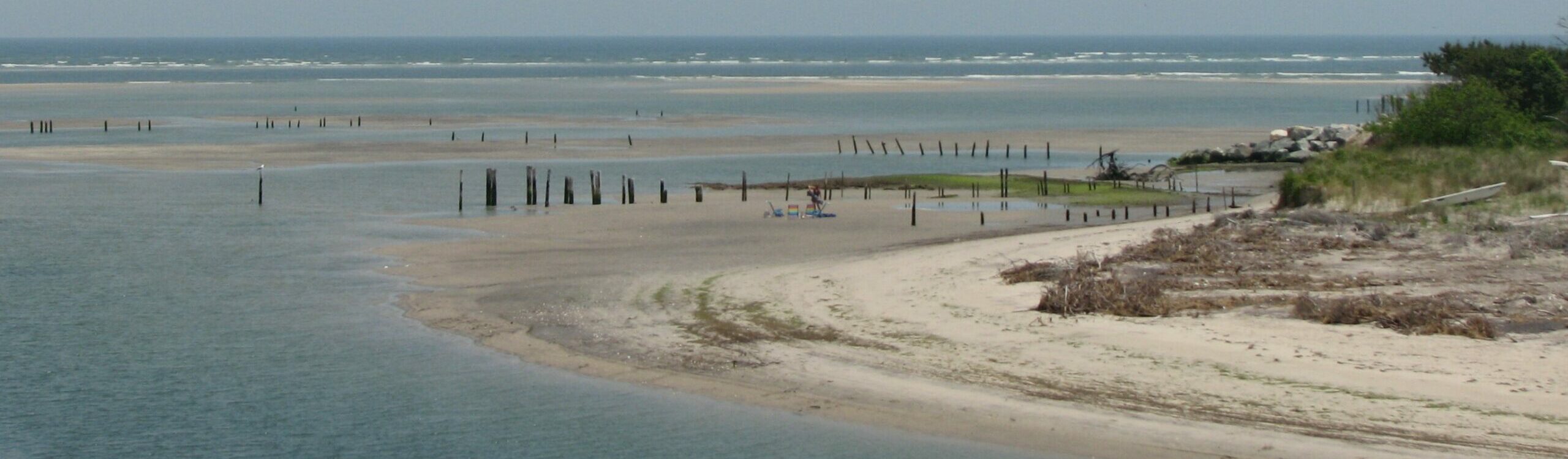 NJDEP| Bureau of Marine Water Monitoring | Bureau of Marine Water ...