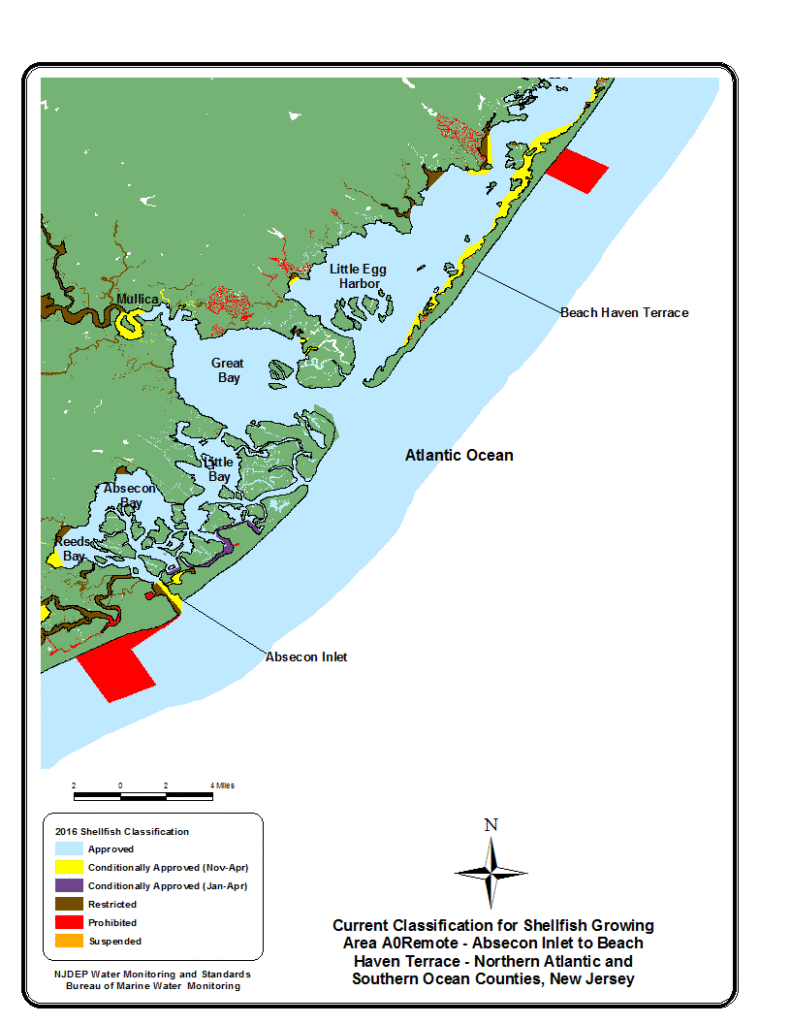 NJDEP| Bureau of Marine Water Monitoring | Atlantic Ocean Reports