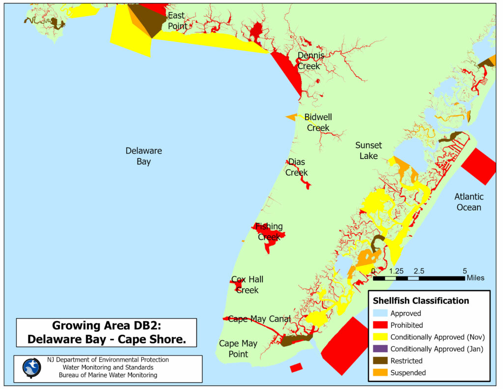 NJDEP| Bureau of Marine Water Monitoring | Delaware Bay Reports
