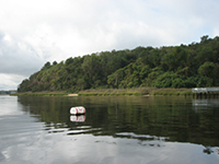 NJDEP| Bureau of Marine Water Monitoring | North East Reports