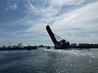 NJDEP| Bureau of Marine Water Monitoring | North East Reports