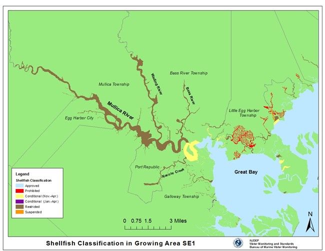 NJDEP| Bureau of Marine Water Monitoring | South East Reports