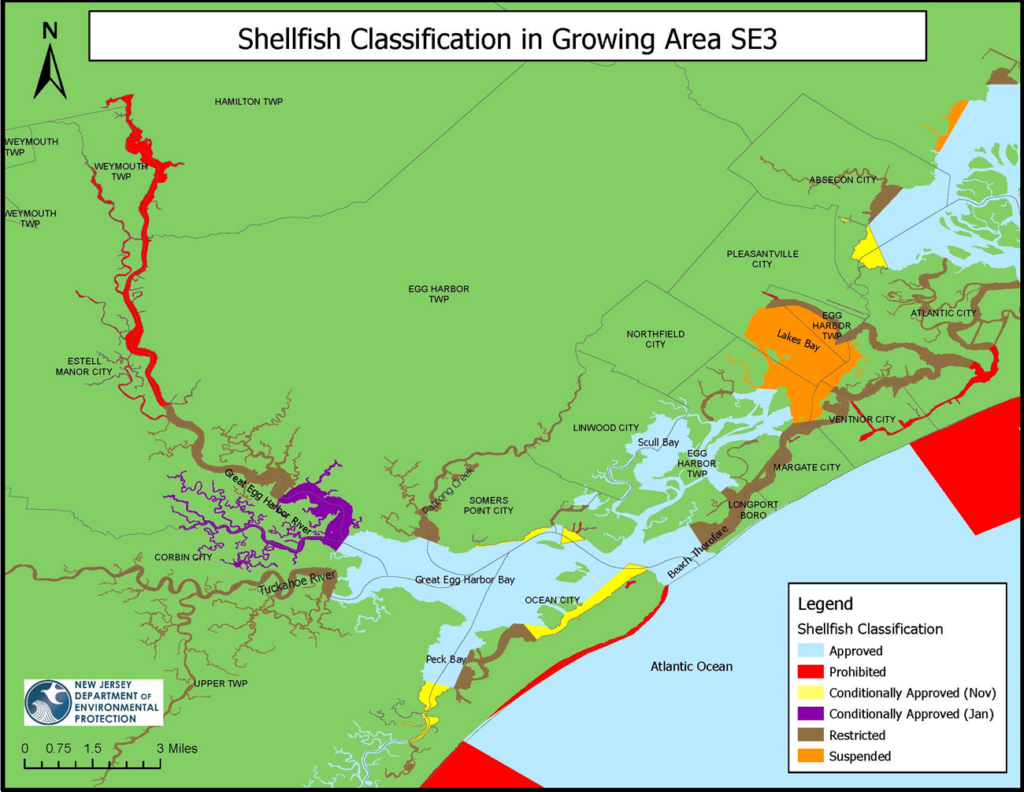 NJDEP| Bureau of Marine Water Monitoring | South East Reports