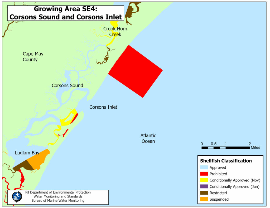 NJDEP| Bureau of Marine Water Monitoring | South East Reports