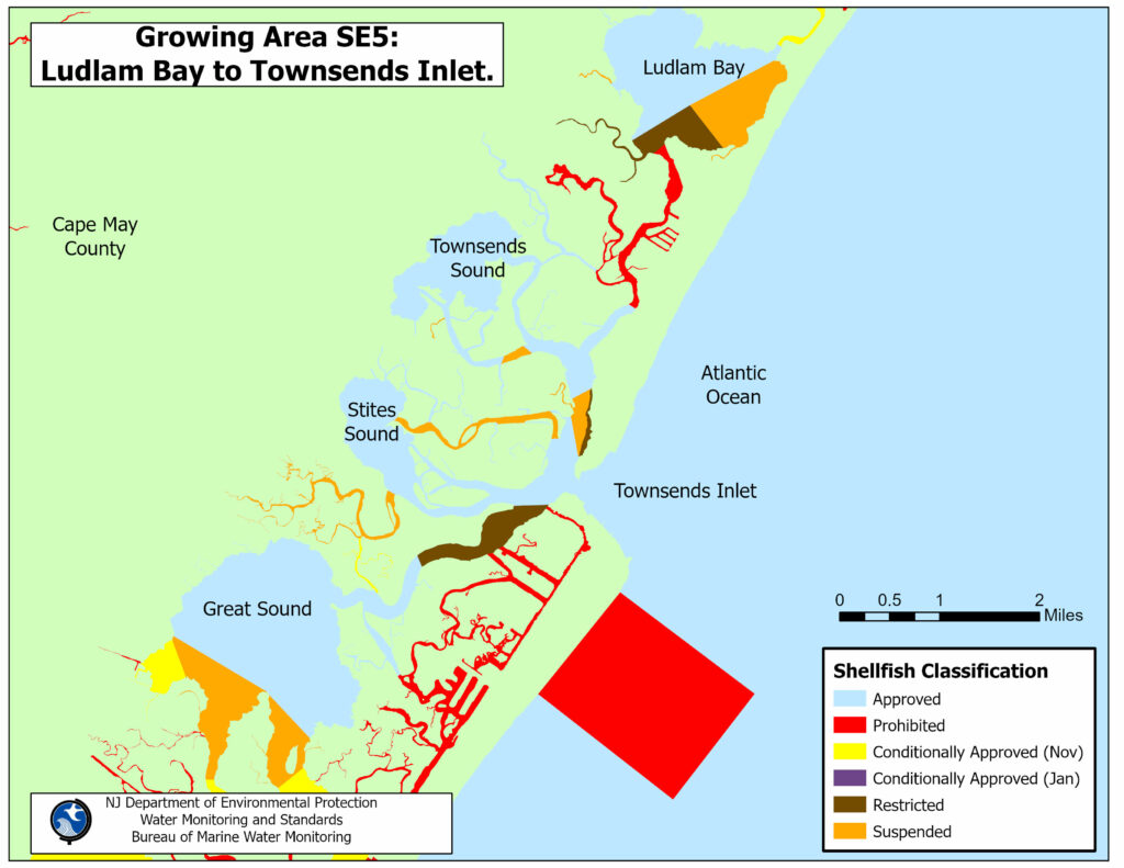 NJDEP| Bureau of Marine Water Monitoring | South East Reports