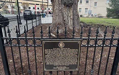 NJDEP| Community Collaborative Initiative | Programs and Initiatives