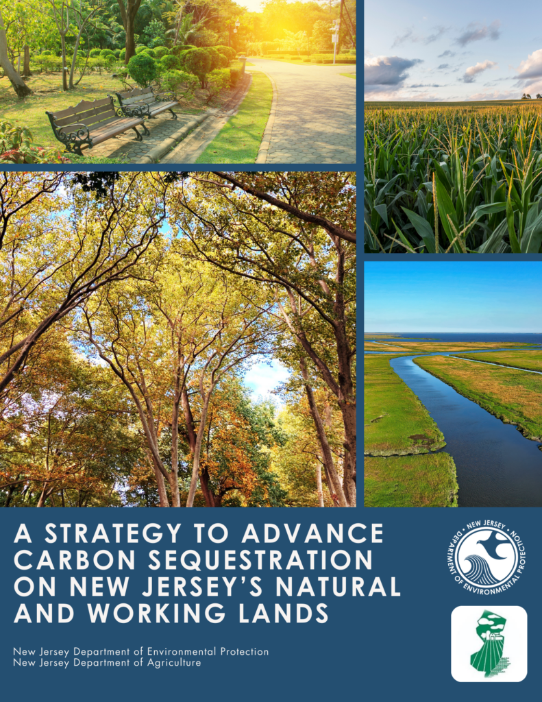 NJDEP| Climate Change | Curbing Our Emissions