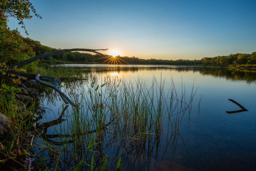 NJDEP| Conserve Water | NJ Water Champions