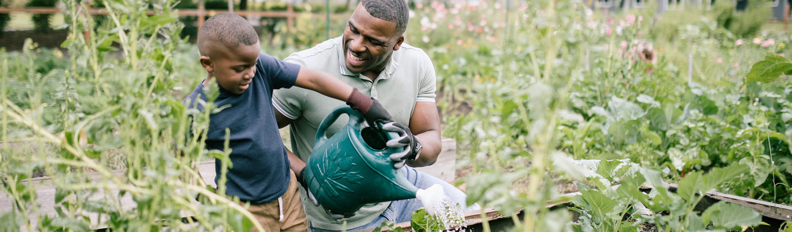 NJDEP| Conserve Water | Conserve Water Outside Your Home