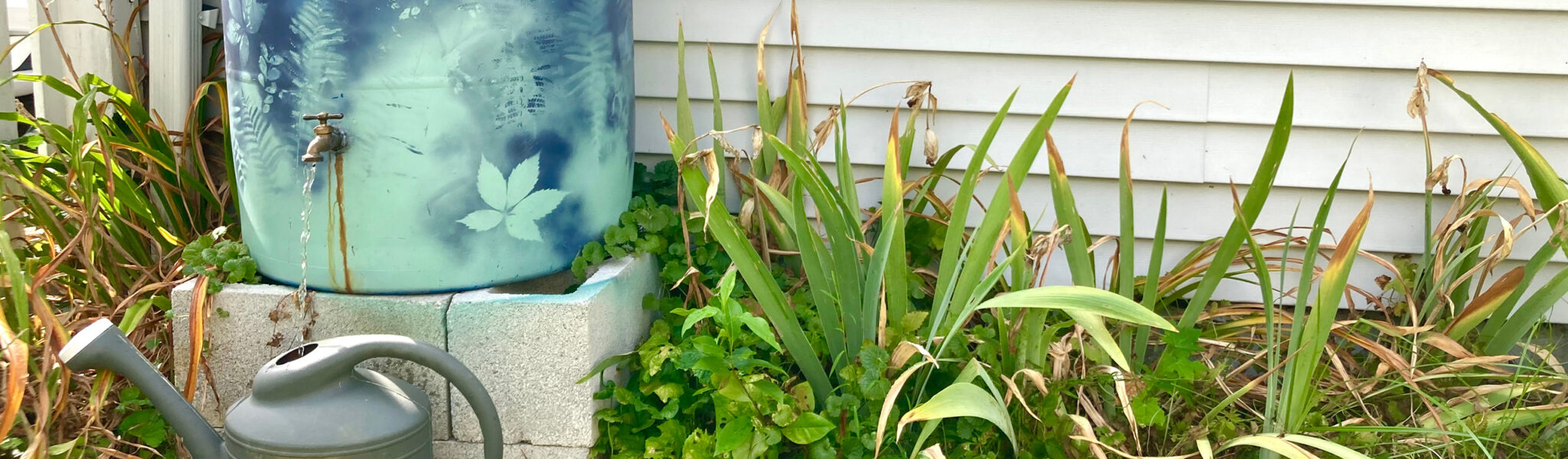 NJDEP| Conserve Water | NJ Water Savers