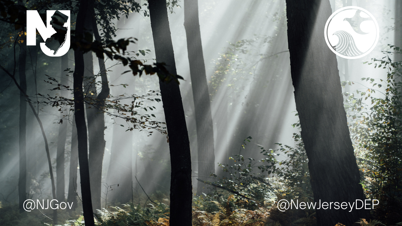 NJDEP| New Jersey Department of Environmental Protection | Video background