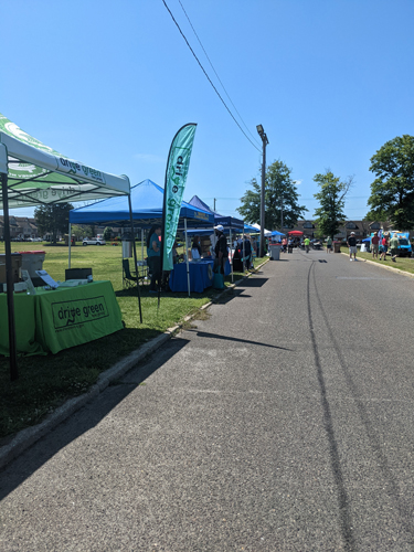 NJDEP| Drive Green NJ | Ride and Drives