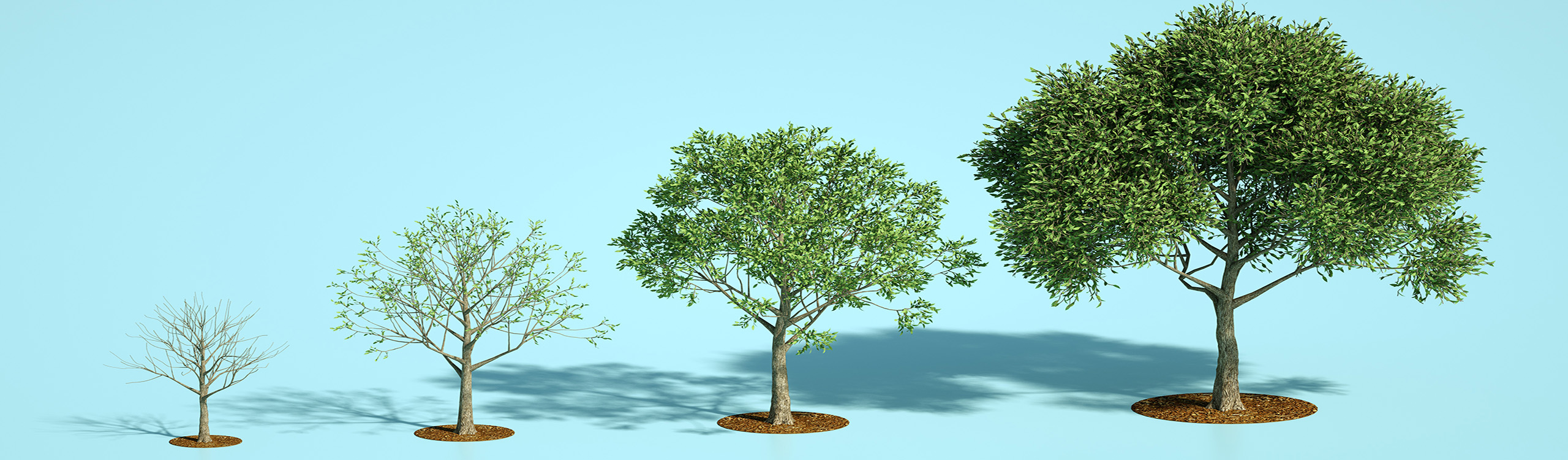 NJDEP| Division of Science and Research | Environmental Trends