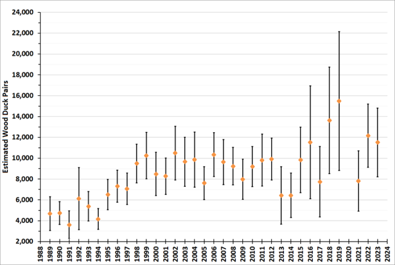 NJDEP| Division of Science and Research | Wildlife Populations- Wood Duck
