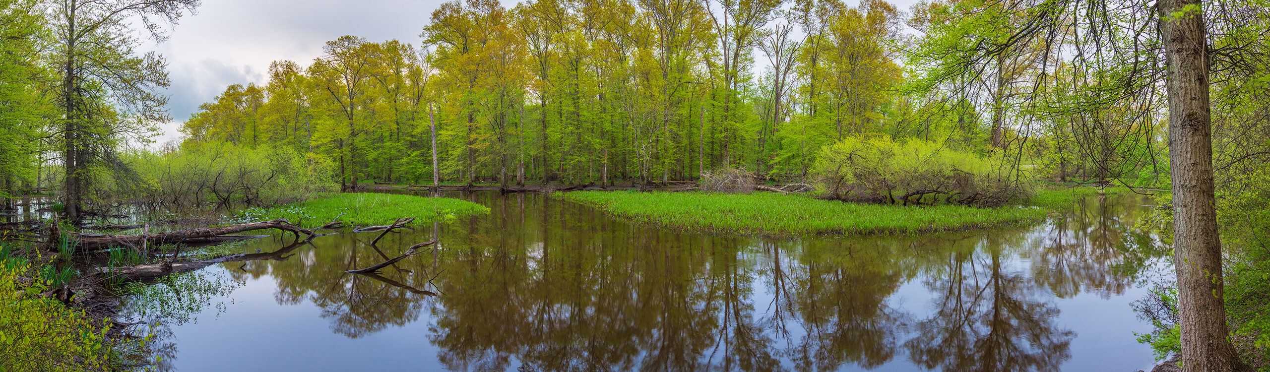 NJDEP| Division of Water Quality | Wastewater