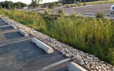 NJDEP| Division of Water Quality | Green Infrastructure