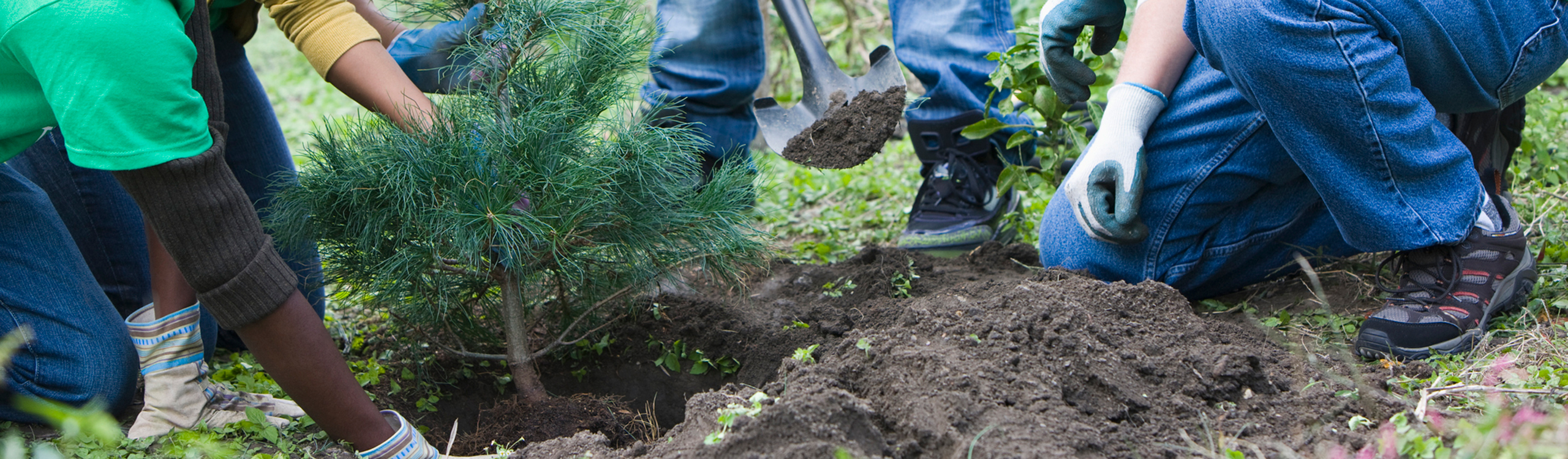 NJDEP| Rebuild by Design Projects and Stormwater Infrastructure Toolkit ...