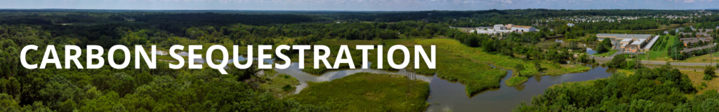NJDEP| Greenhouse Gas | Carbon Sequestration NJDEP| Greenhouse Gas | Carbon Sequestration