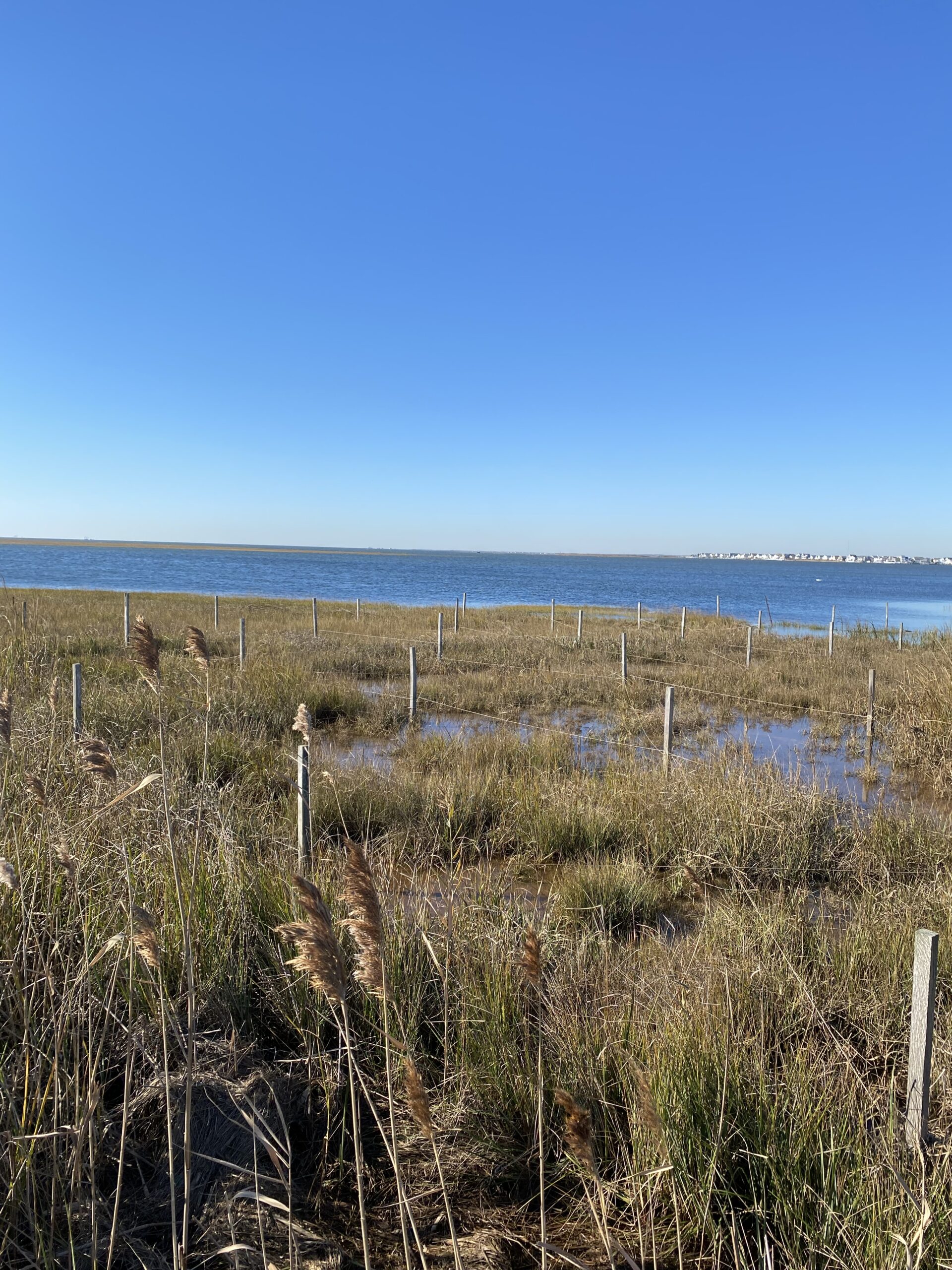 NJDEP| Grant and Loan Programs | Freshwater Wetland Mitigation Council RFP