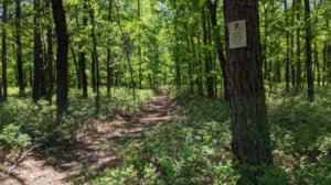 NJDEP| Grant and Loan Programs | Green Acres State Land Acquisition Program