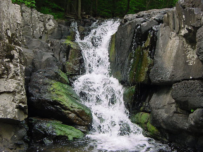 NJDEP| Green Acres | Success Story - Fox Parcel, Kingwood