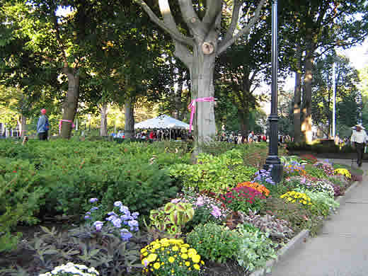 NJDEP| Green Acres | Success Story - Morristown Green