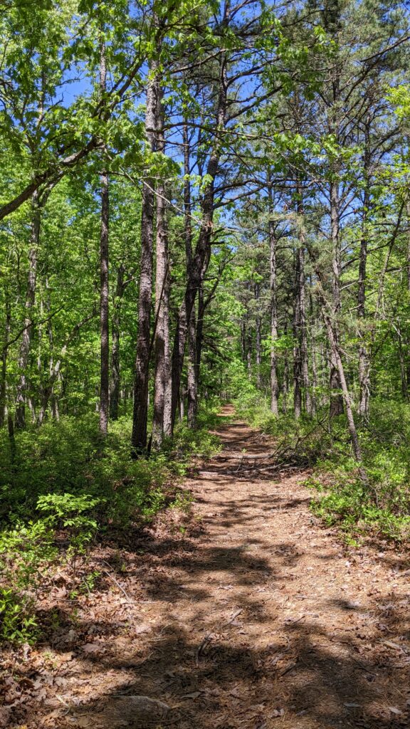 NJDEP| Green Acres | Green Acres Success Stories - Featured Story