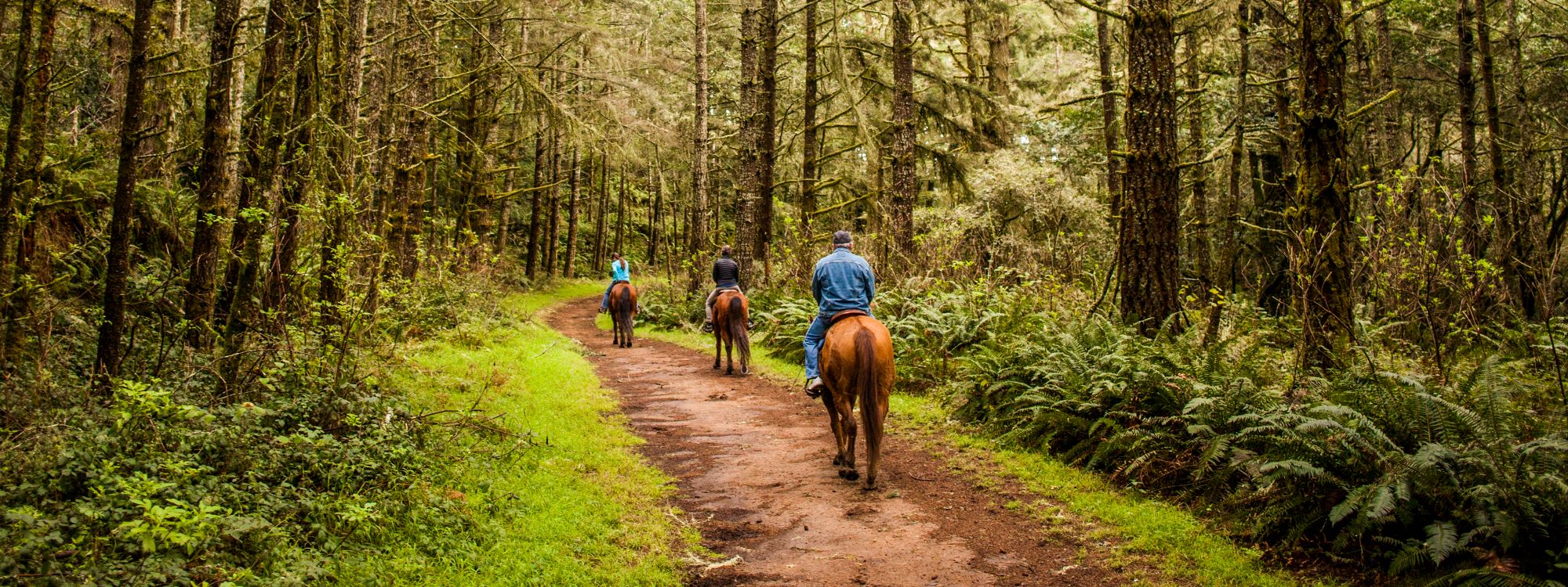 Recreational Trails Program in New Jersey | Green Acres
