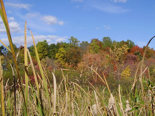 NJDEP| Green Acres | Success Story - Rutgal Property, Frelinghuysen