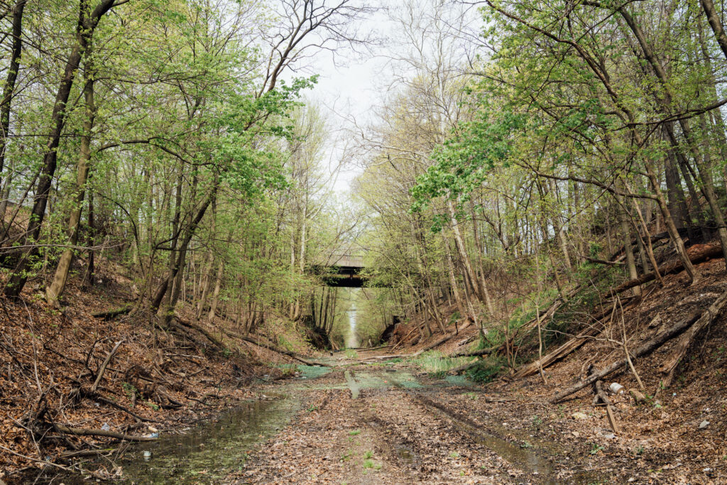 NJDEP| Greenway | About